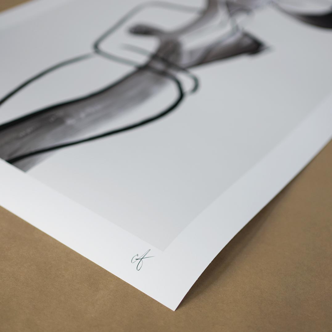 The Collection – Peytil